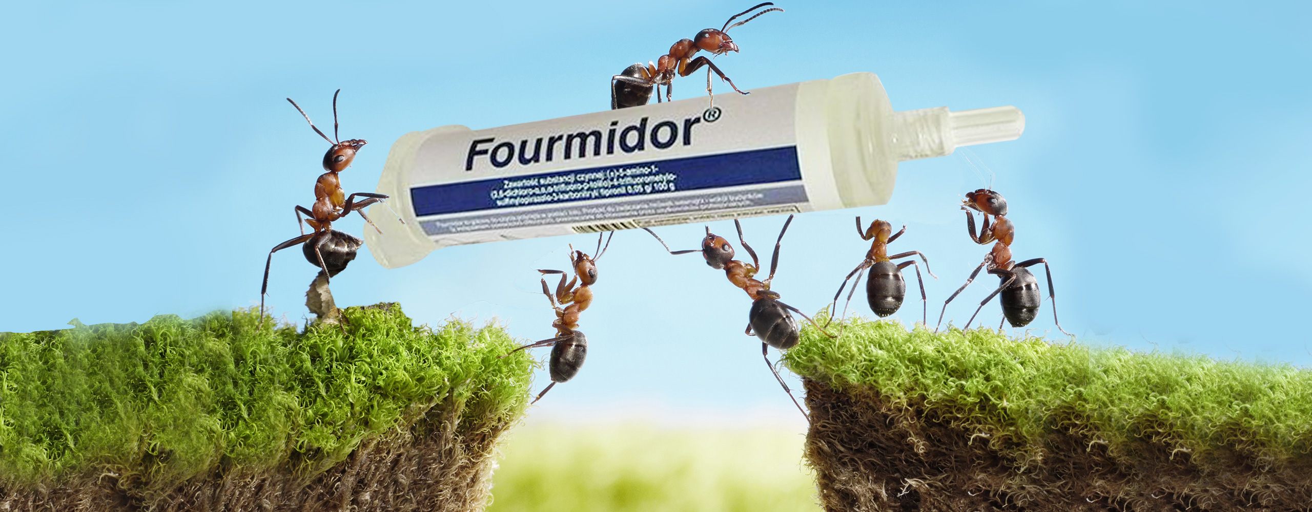 Killgerm to największy w Europie dostawca produktów do ochrony przed ...